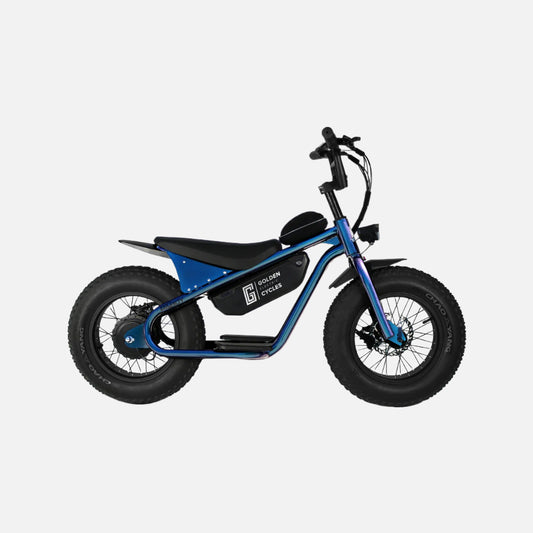 eBikes – USA eBikes Store